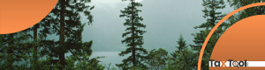 British Columbia Tax Frequently Asked Questions - TaxTool.ca